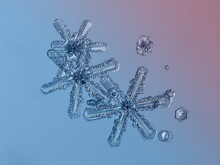 You Won't Believe These Shots Of Snowflakes Were Taken With An Ordinary ...