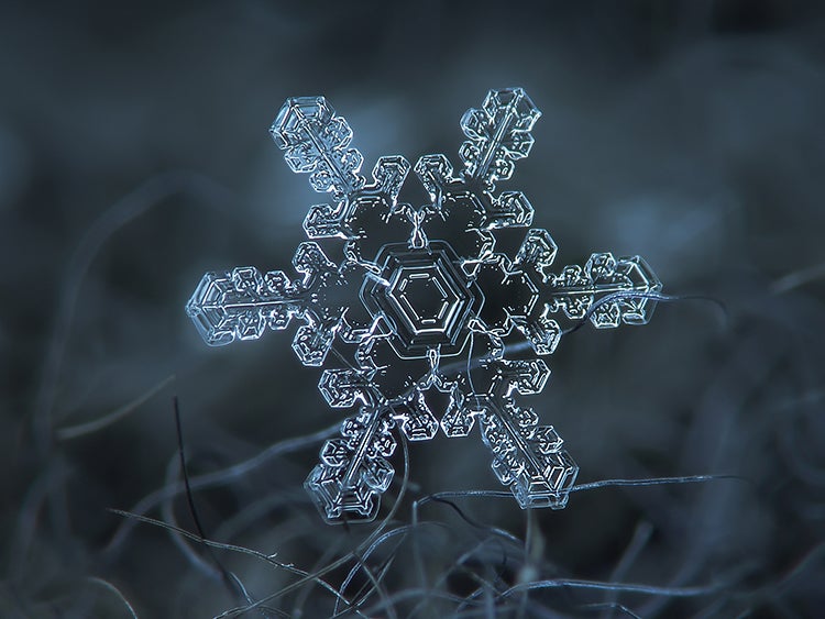 You Won't Believe These Shots Of Snowflakes Were Taken With An Ordinary ...