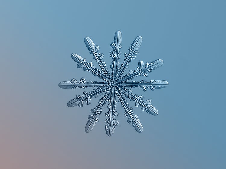 Amazing Closeups Of Snowflakes Give A Little Glimpse At How Awesome ...