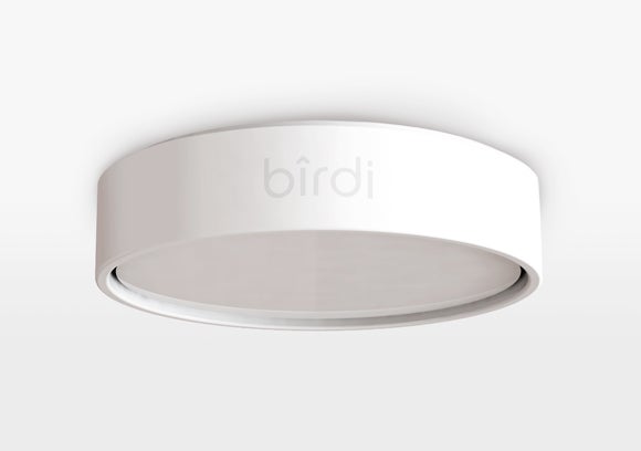 Birdi, The Anti-Pollution Smoke Detector, Tries To Light A Fire On ...
