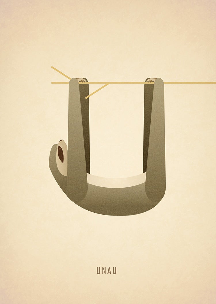 M Is For Meerkat: A Beautiful Alphabet Inspired By Animals - Fast Company