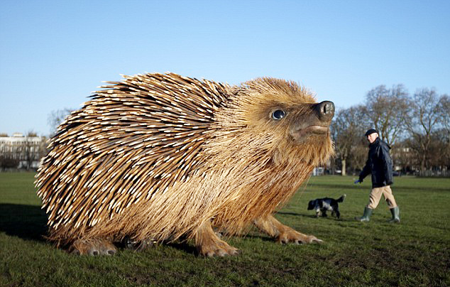 Not Enough U.K. Residents Had Ever Seen a Hedgehog; Now, This Is ...