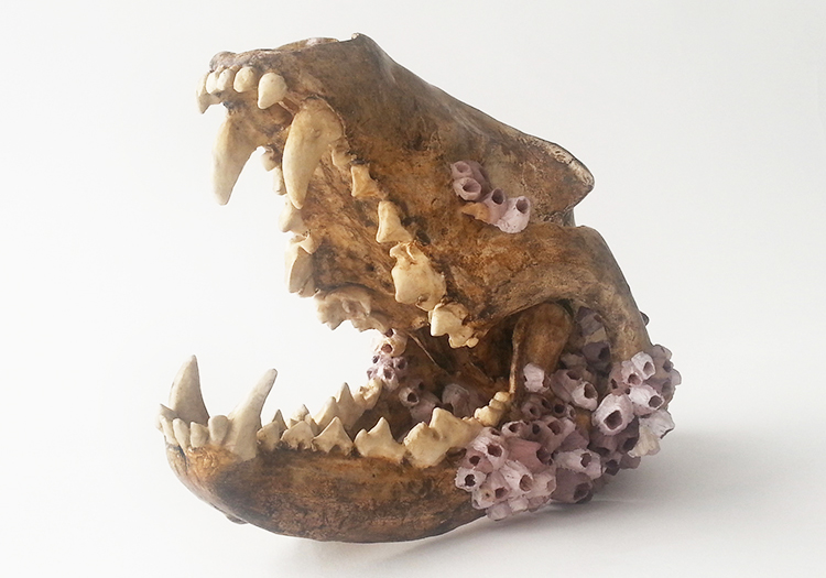 You Won't Believe What These Ultra-Realistic Skull Sculptures Are Made ...