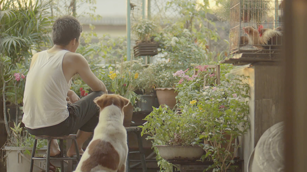 This Tearjerker Thai Insurance Ad Shows The Value Of A Generous Life ...