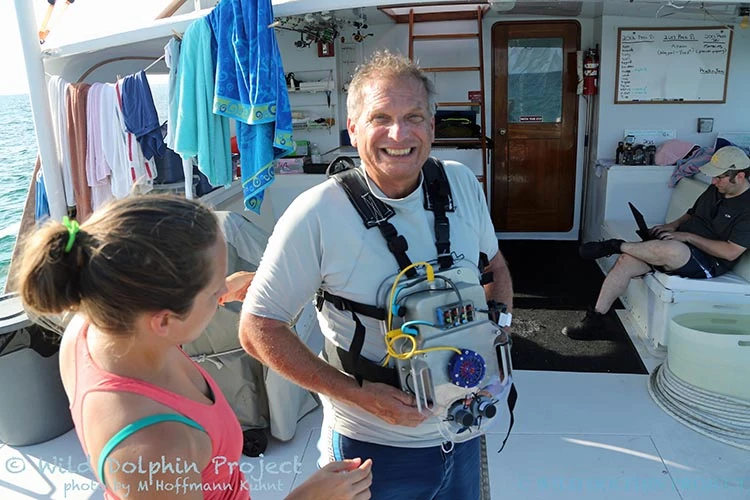 This Underwater Computer Will Let Humans And Dolphins Talk To Each ...