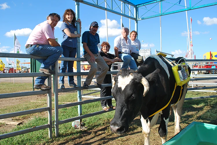 These Backpacks For Cows Collect Their Fart Gas And Store It For Energy ...