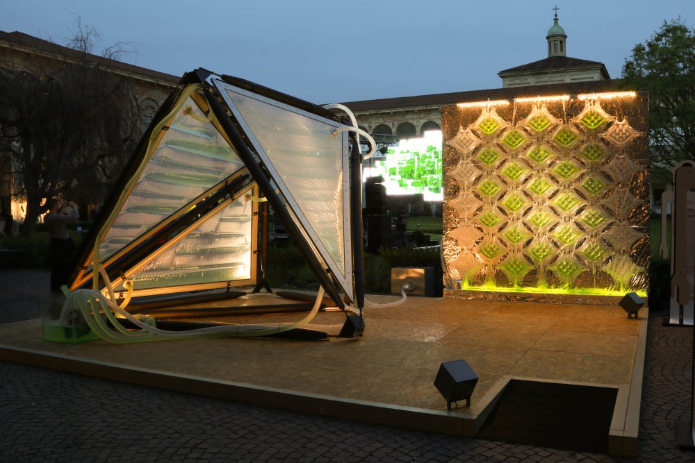 These Algae Farms Cover The Walls Of Buildings And Soak Up Carbon ...