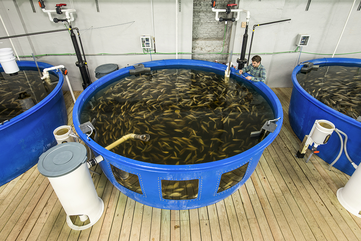 This Old Factory-Now Full Of Fish And Kale-Is Revitalizing A ...