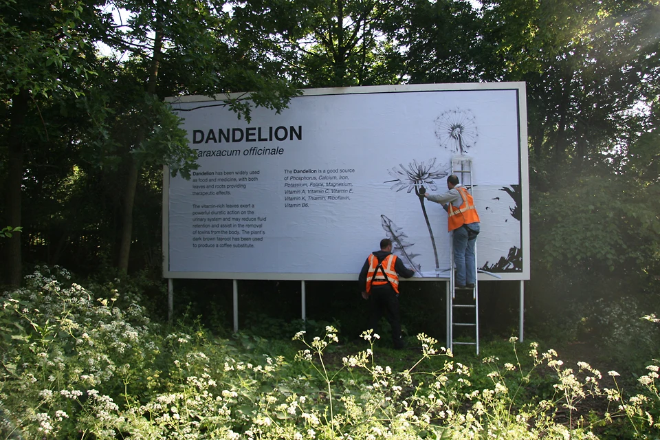 A Street Artist Shows The Beauty And Power Of Weeds In Urban Garden ...