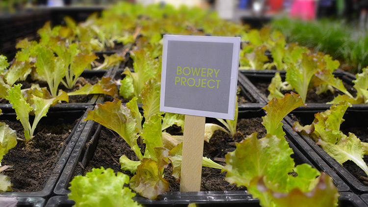 This Modular Urban Farm To Pop Up On Vacant Lots, And Then Move On ...