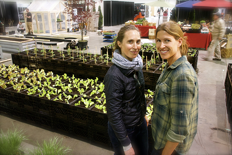 This Modular Urban Farm To Pop Up On Vacant Lots, And Then Move On ...