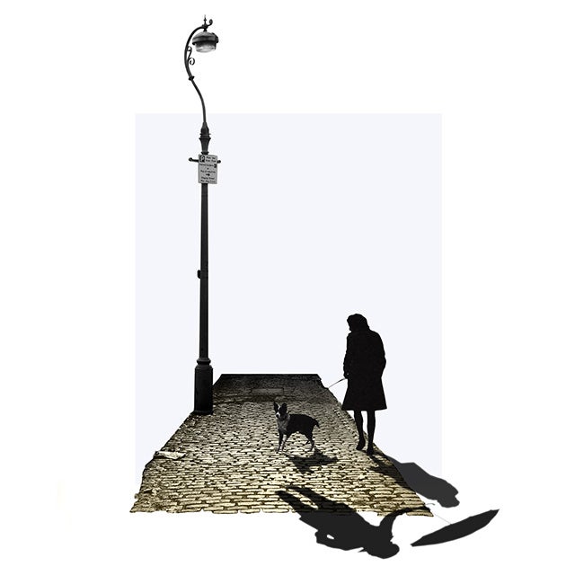 Shadow Project Wins Latest Playful Smart Cities Initiative - Fast Company