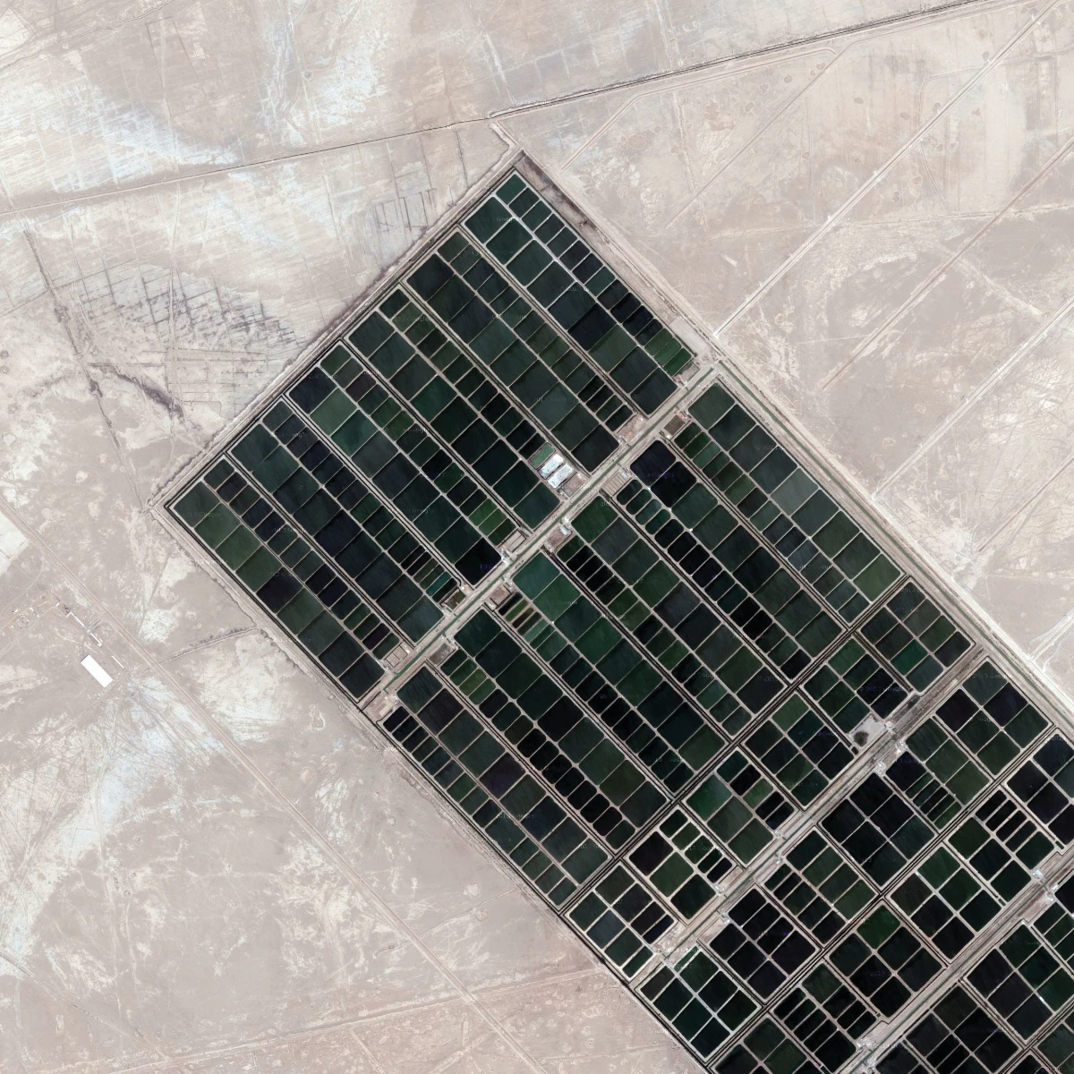 Google Earth Screenshots Reveal Our Planet's Beautiful, Pattern-Like ...