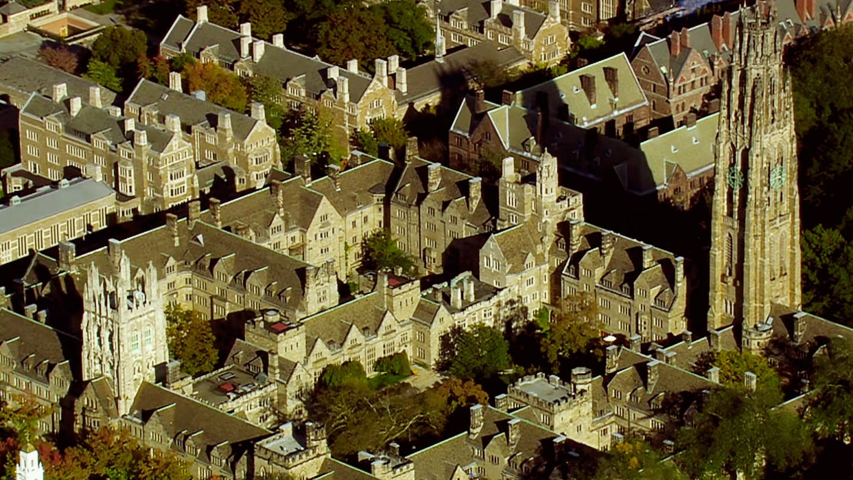 What's Wrong With Higher Education? "Ivory Tower" Dissects The Answer ...