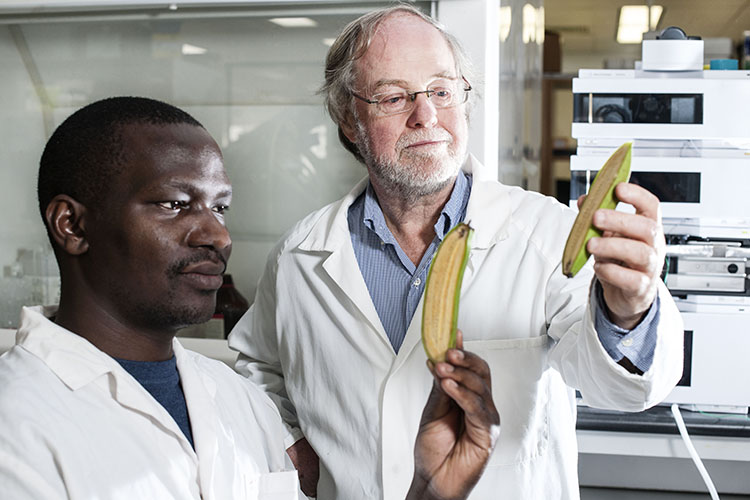 Humans Are About To Taste The First Genetically Engineered “Super ...