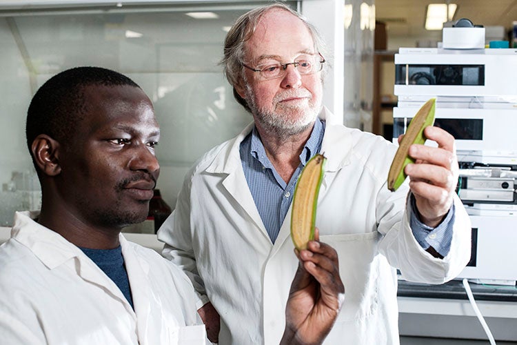 Humans Are About To Taste The First Genetically Engineered “Super ...