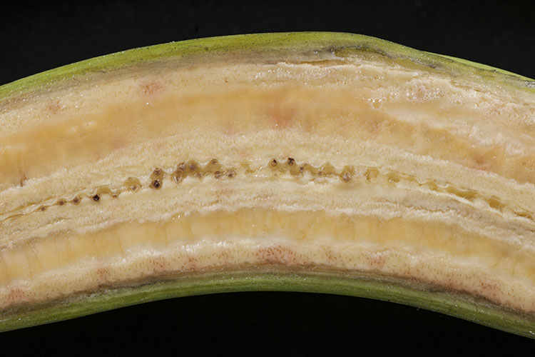 Humans Are About To Taste The First Genetically Engineered “Super ...