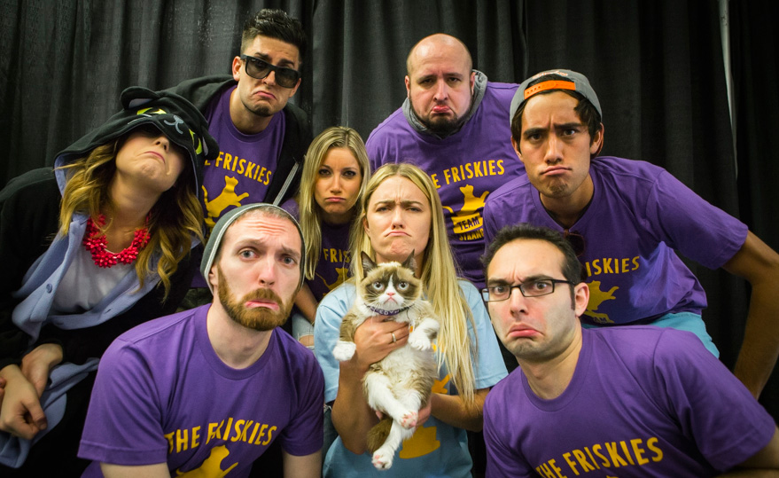 What It's Like To Own Grumpy Cat, The Most Famous Cat On The Internet - Fast Company