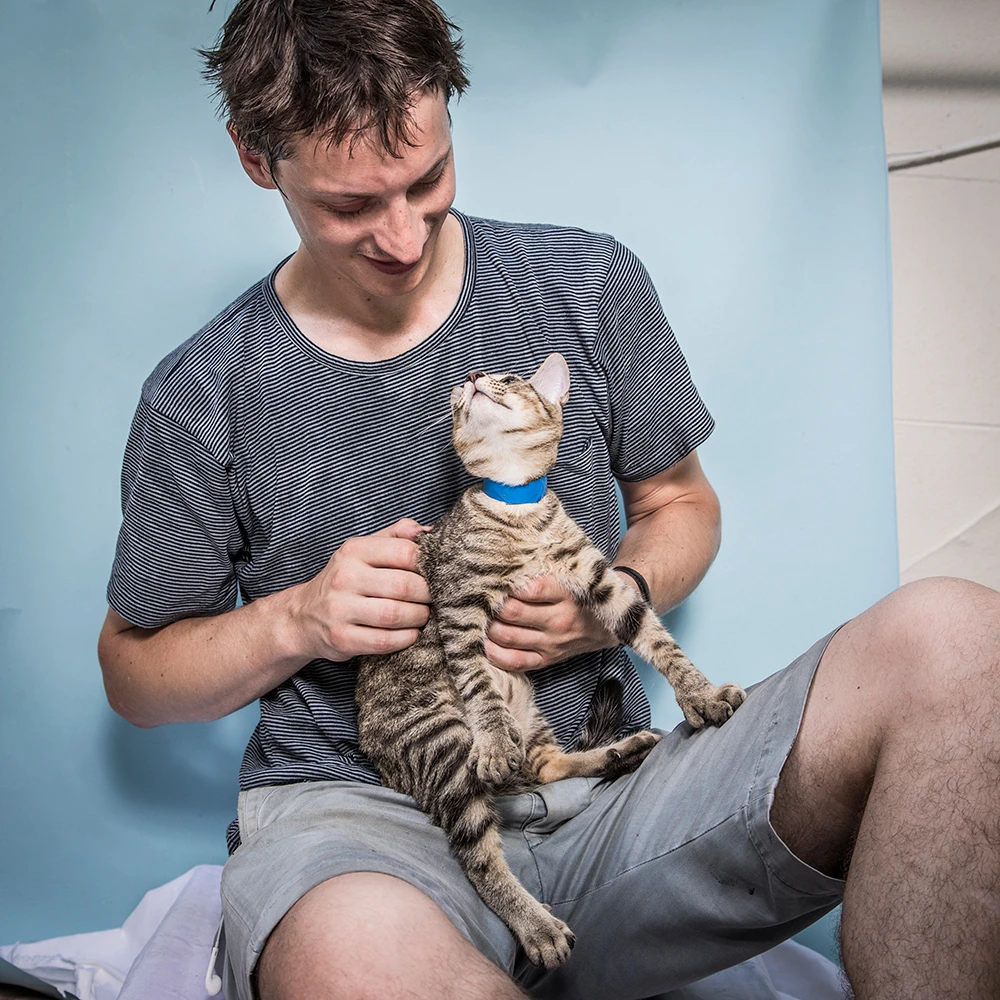 Ernest Hemingway's Other Legacy: A Colony Of Adorable, Six-Toed Cats ...