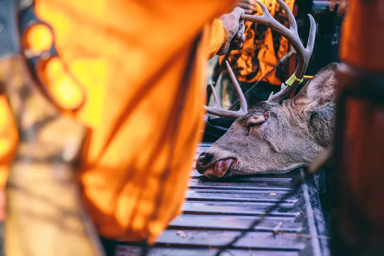 The Disappearing And Controversial Culture Of Midwestern Hunters ...