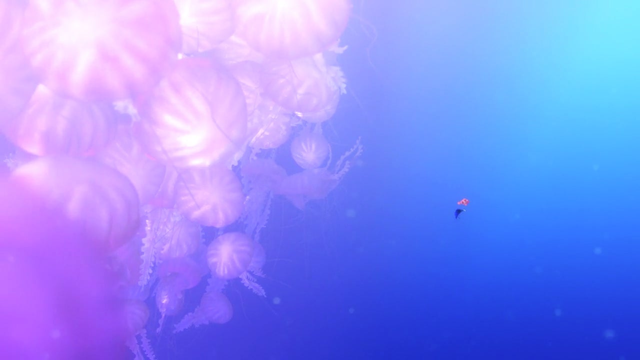 This Supercut Is A Beautiful Rainbow, Made Up Of Pixar Movies - Fast ...