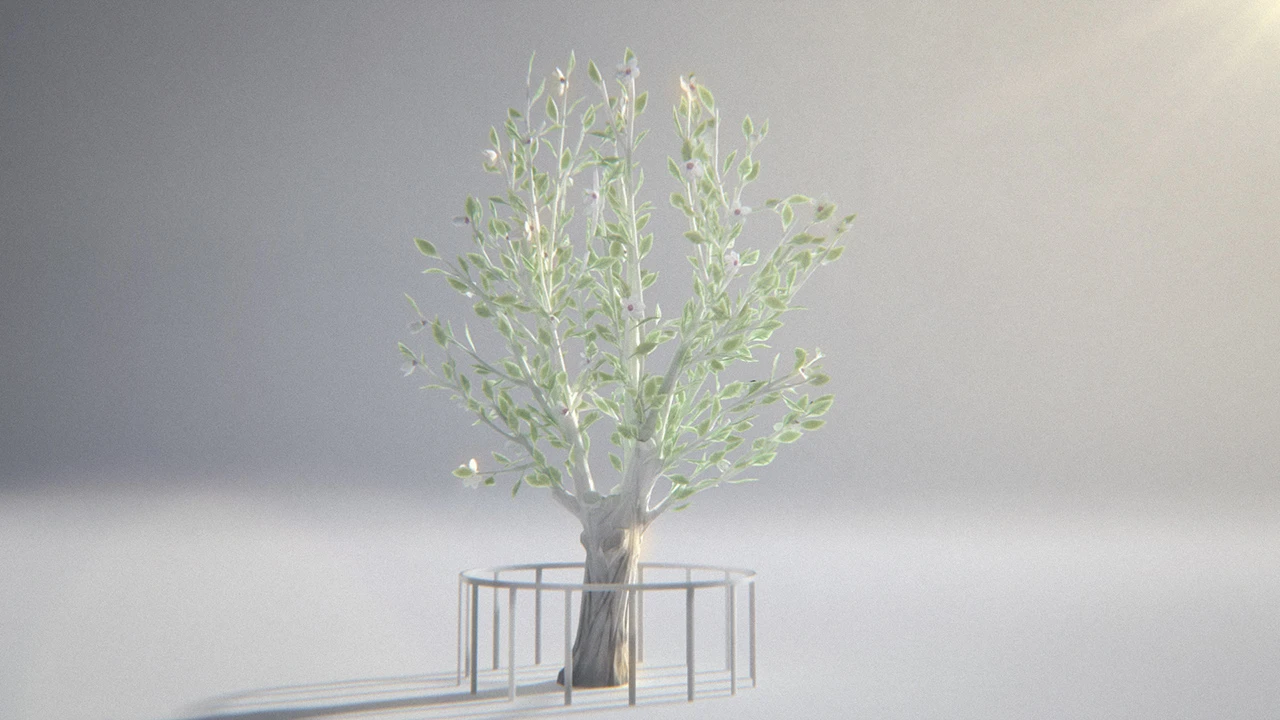 New York's "Survivor Tree" Anchors Socially Driven 9/11 Anniversary ...