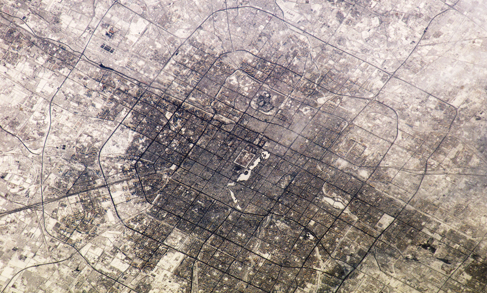 How A City Changes The Evolution Of All The Nature Around It - Fast Company