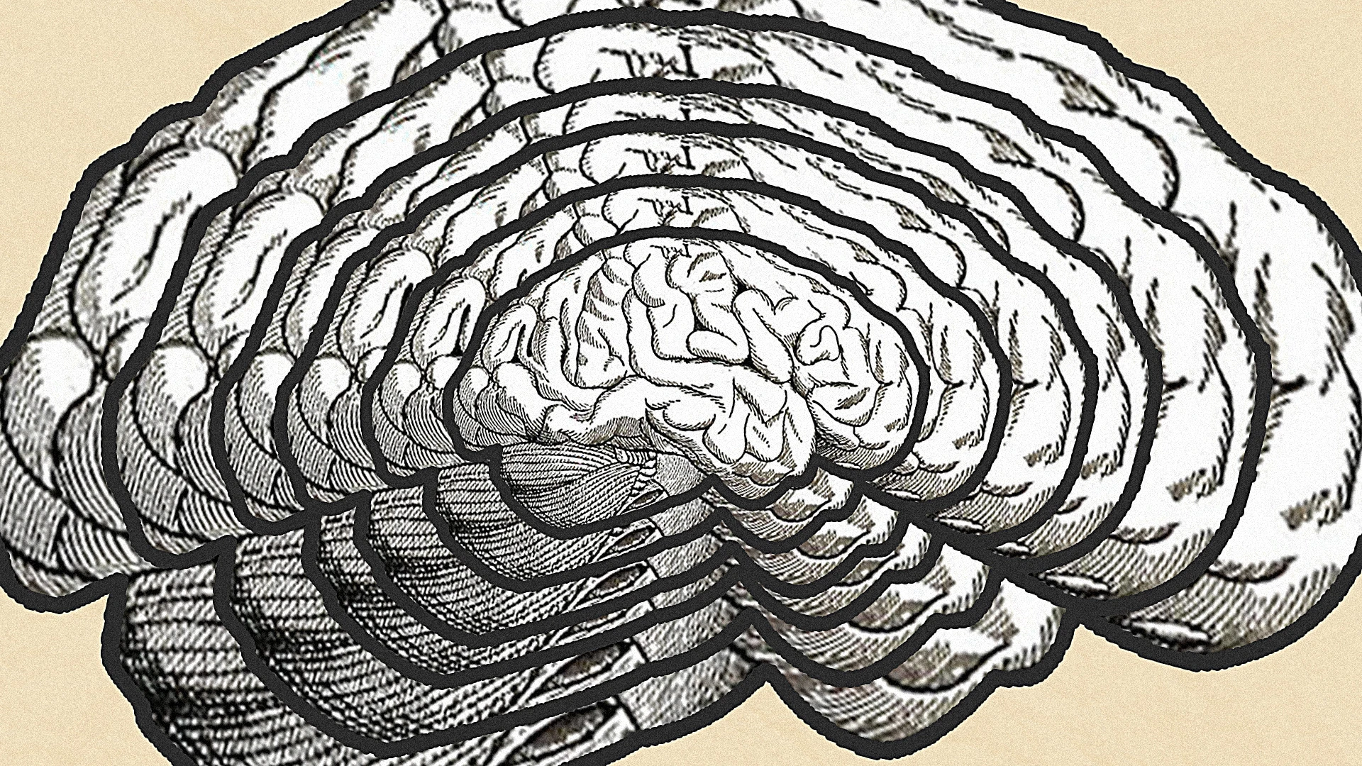 Want To Train Your Brain To Feel More Compassion? Here’s How - Fast Company