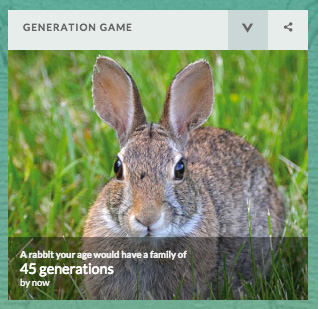 See Your Life Through The Lens Of History With This Data Viz Site From ...