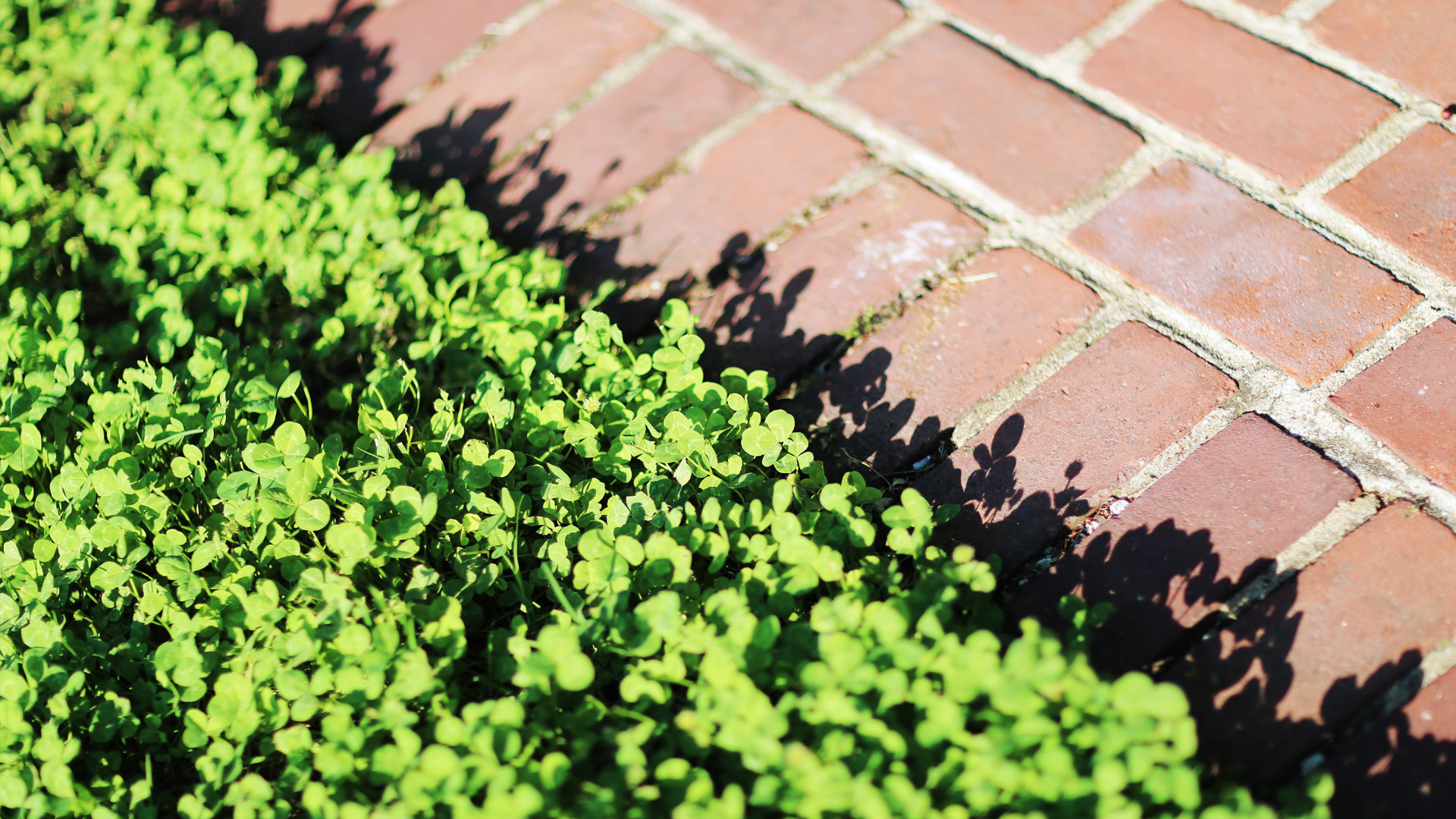 Getting Lucky, Being Yourself, And Addressing The Big Questions: This ...