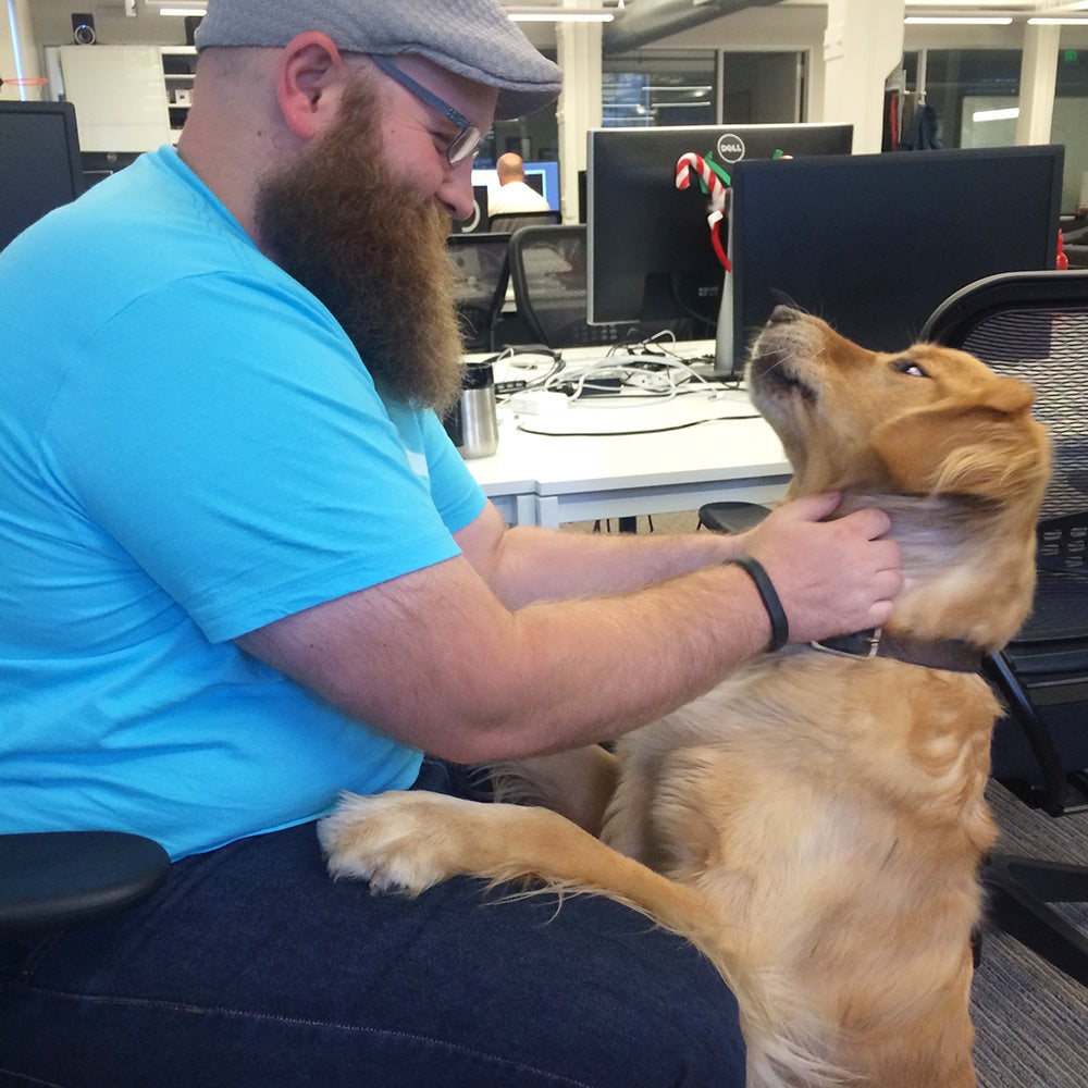 A Day In The Life Of An Office Dog - Fast Company