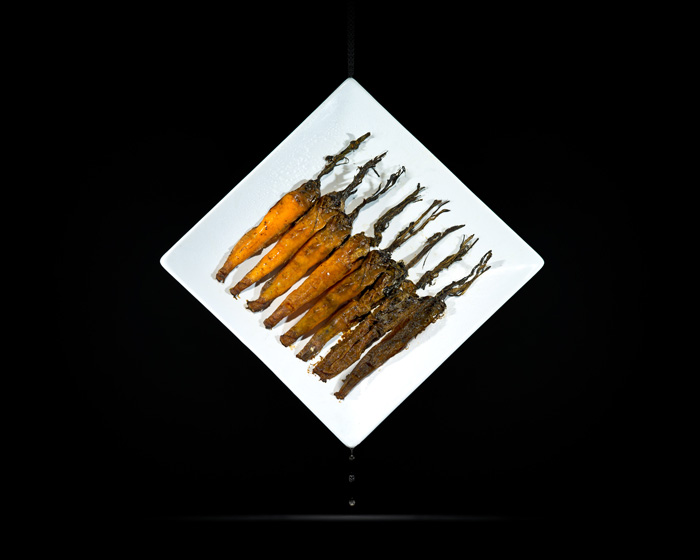 These Sickeningly Beautiful Photos Of Rotting Food Remind You How Much ...