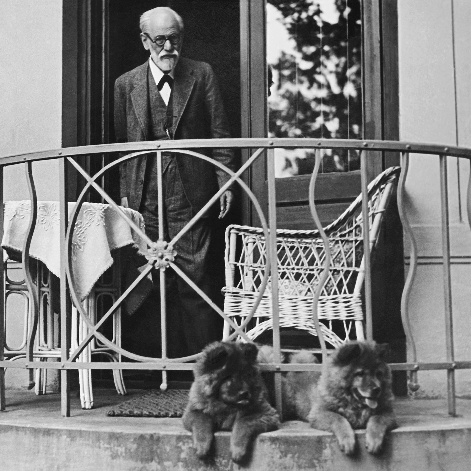 Dog Complex: Analyzing Freud's Relationship With His Pets - Fast Company