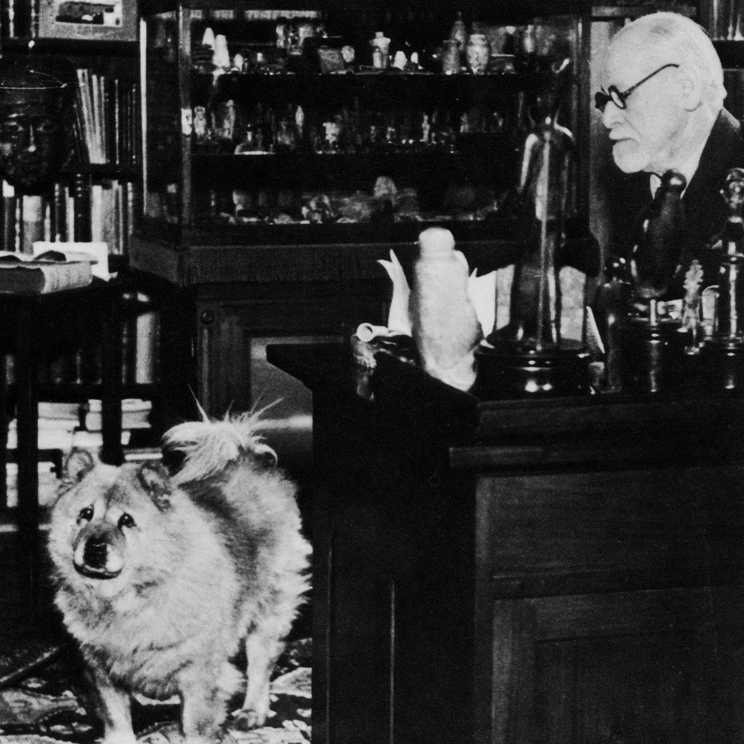 Dog Complex: Analyzing Freud's Relationship With His Pets - Fast Company