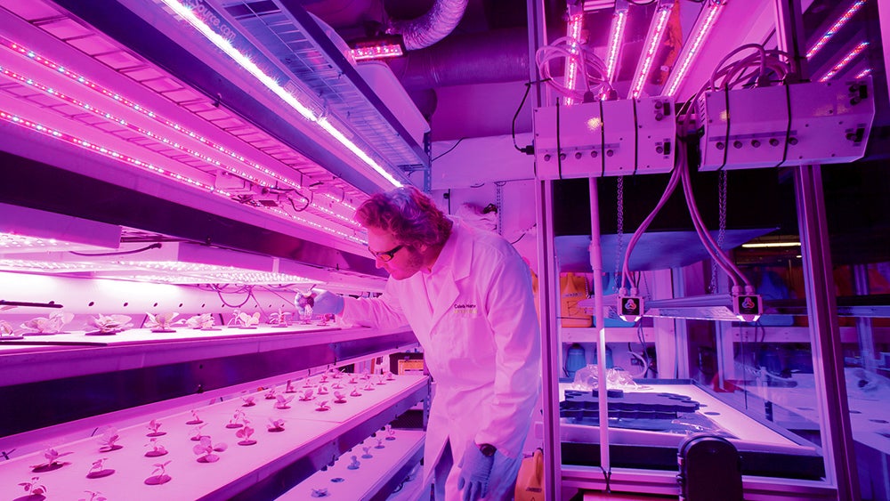 Vertical Farms Will Be Big, But For Whom? - Fast Company
