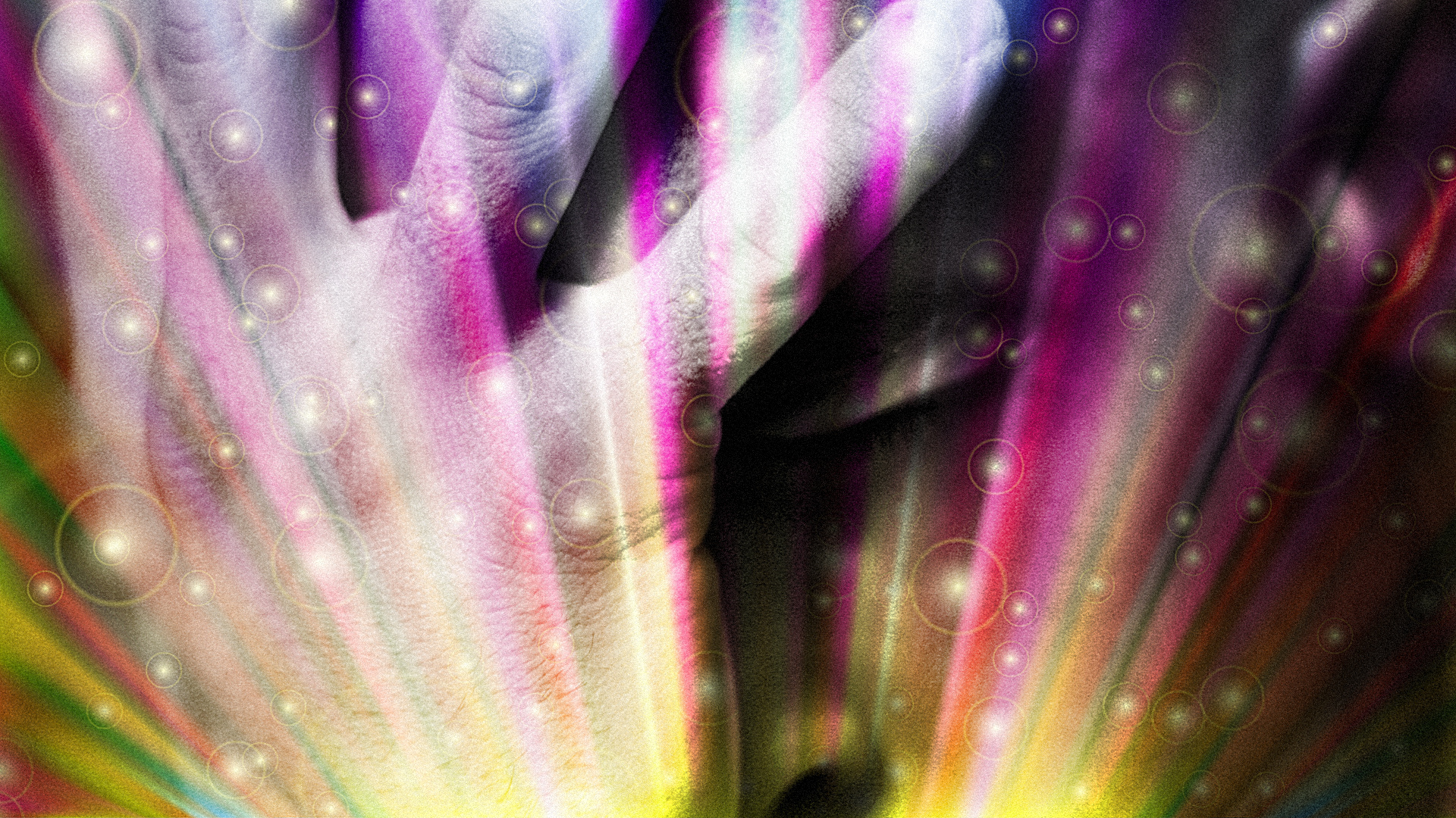 How Top Designers Tell Clients That Their Taste Sucks - Fast Company