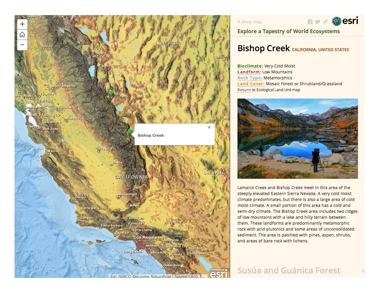 A Detailed Map Of The World's Ecosystems, So We Can Understand How We ...