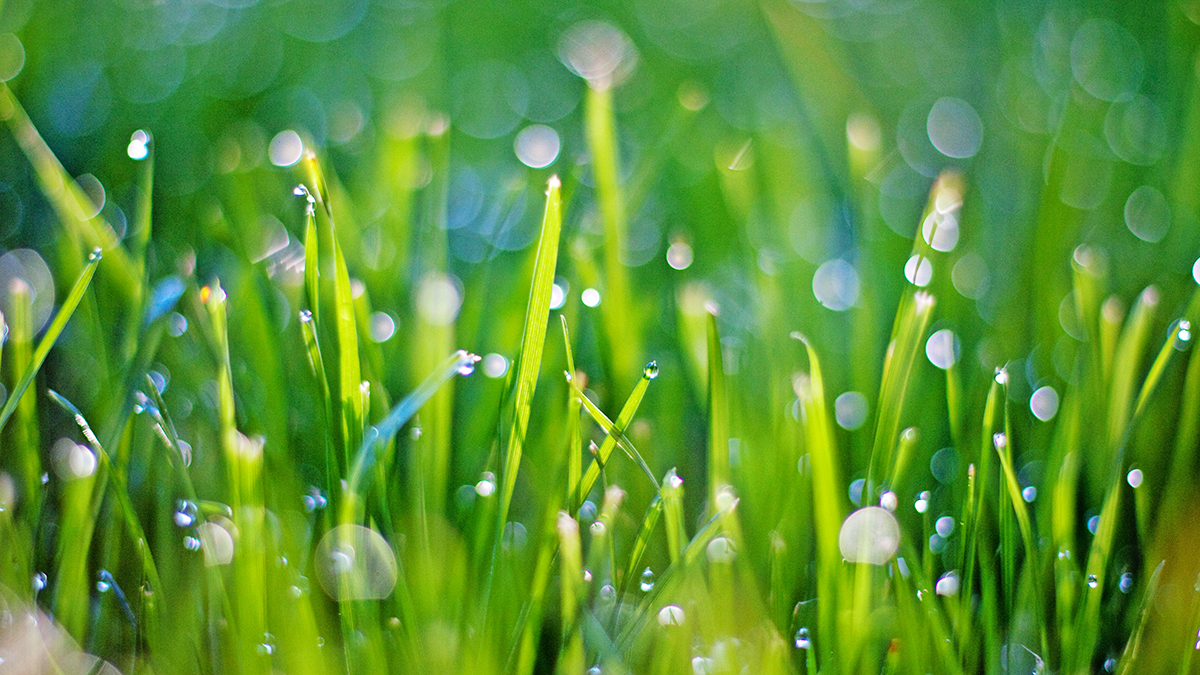 How Marketing Will Change In 2015: The Creative Forecast - Fast Company