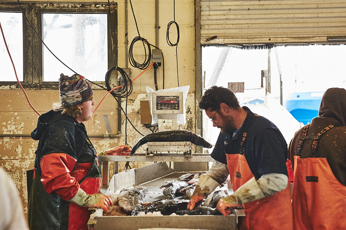 Food Startups Bring Quinoa and Quail To The Boonies - Fast Company