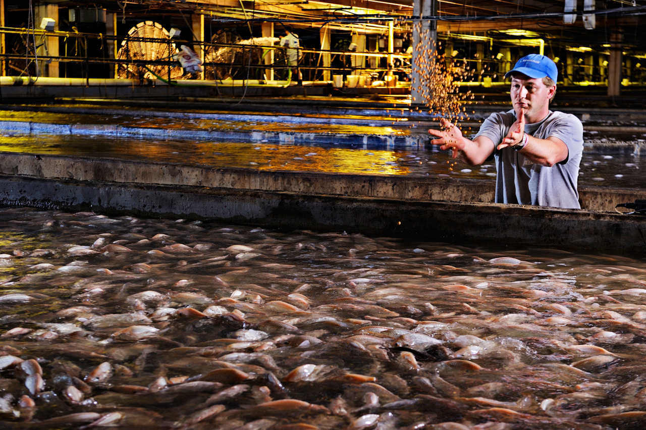 Investing In A More Sustainable Future That Includes A Lot Of Farmed ...