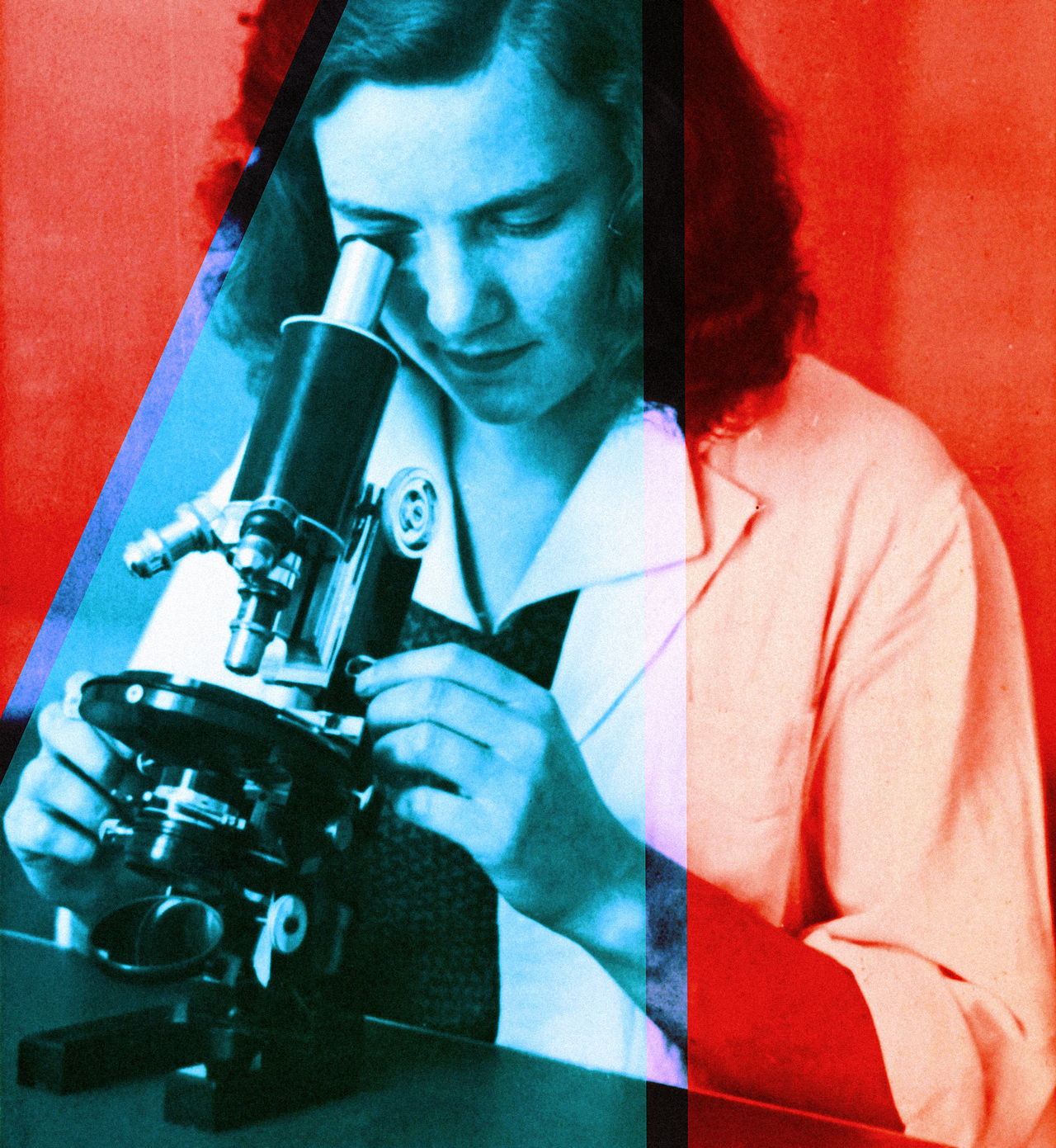 Great News! Most Americans Disagree With Scientists About Climate ...