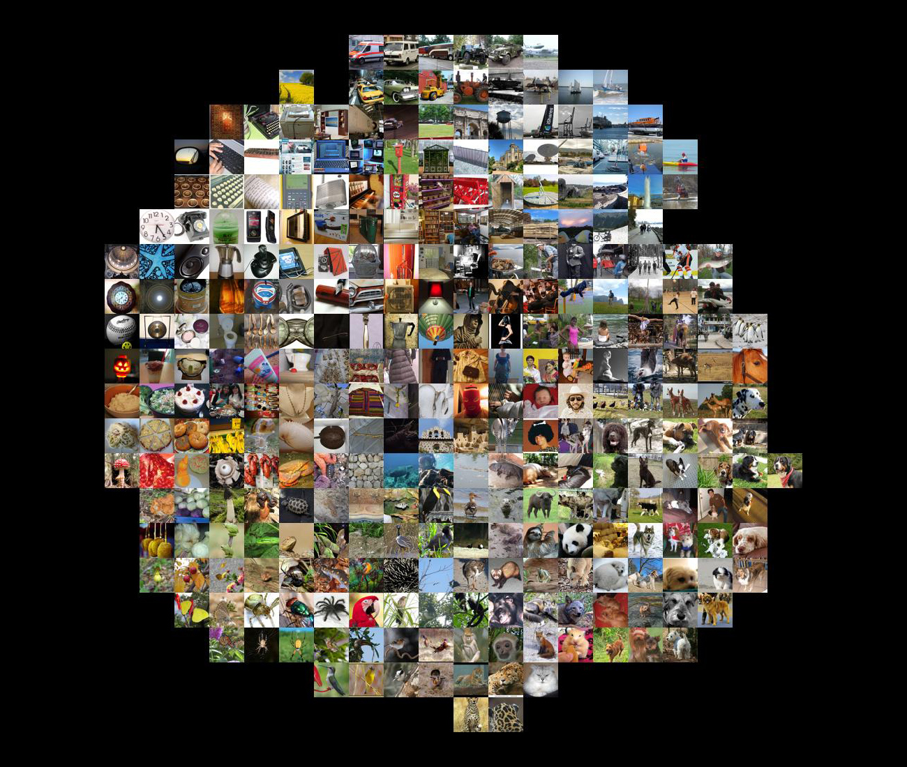 Microsoft Software Recognizes Images Better Than Humans Do - Fast Company