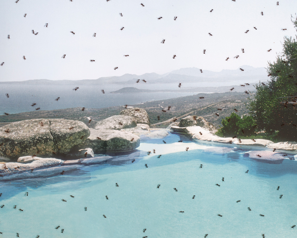 No, These Aren't Windows 95 Wallpapers. They're Photos - Fast Company