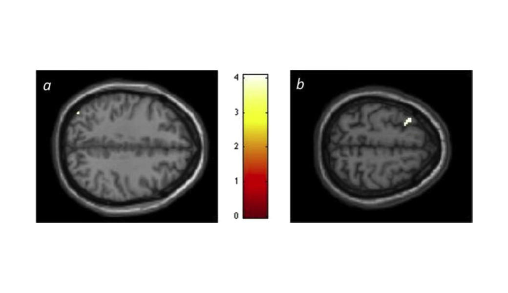 Why Our Brains Love High Ceilings - Fast Company