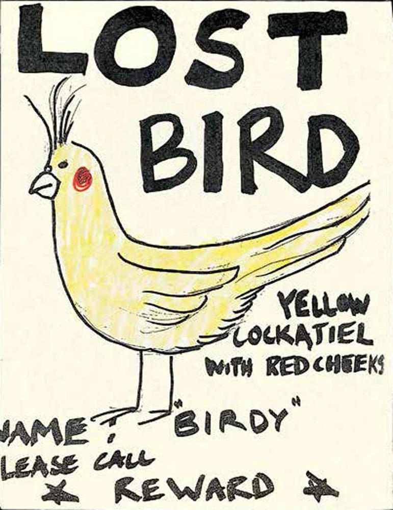 Missing Pet Posters From Around The World Are Weirdly Moving DIY ...