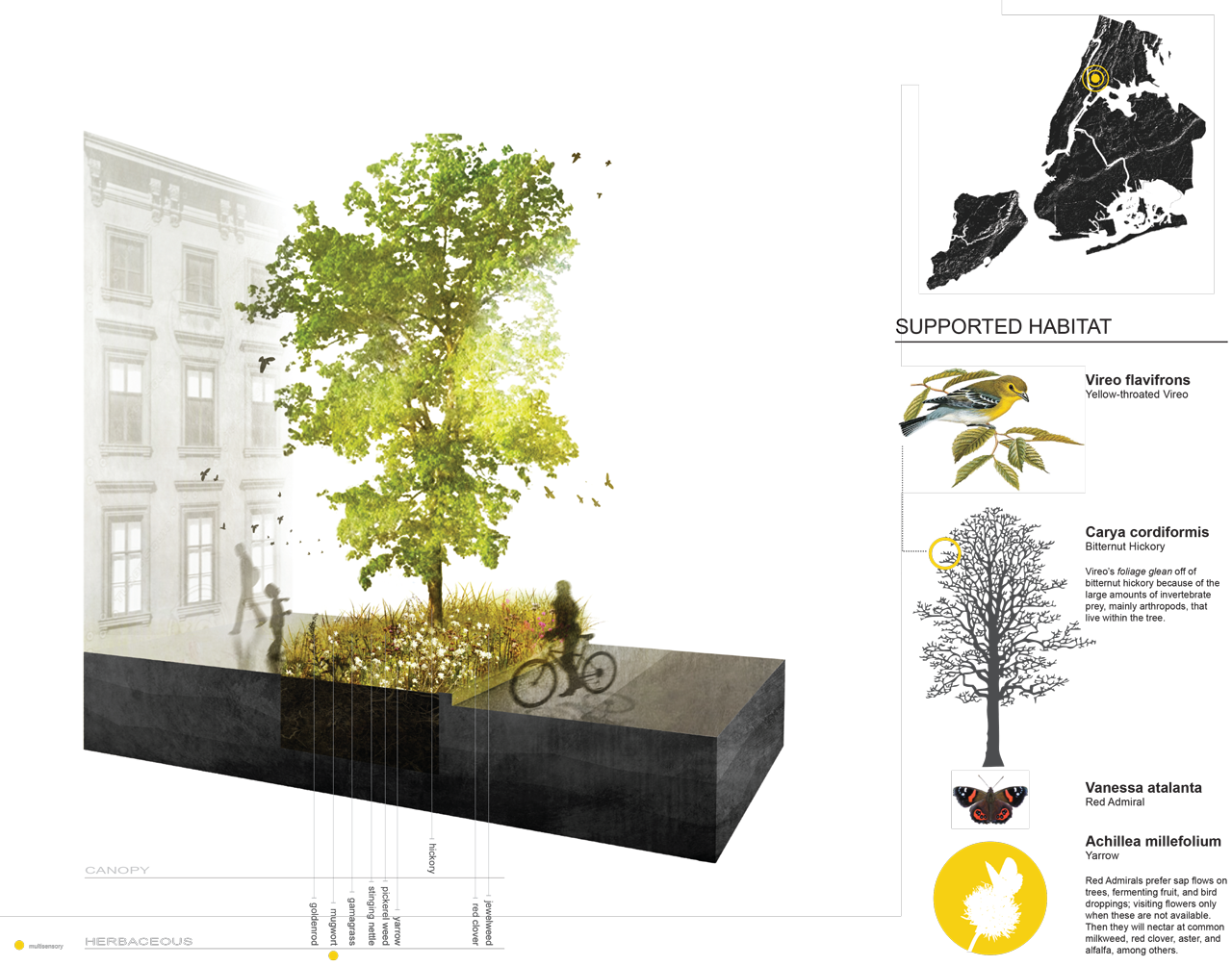 A Pop-Up Forest Is Coming To NYC's Times Square - Fast Company
