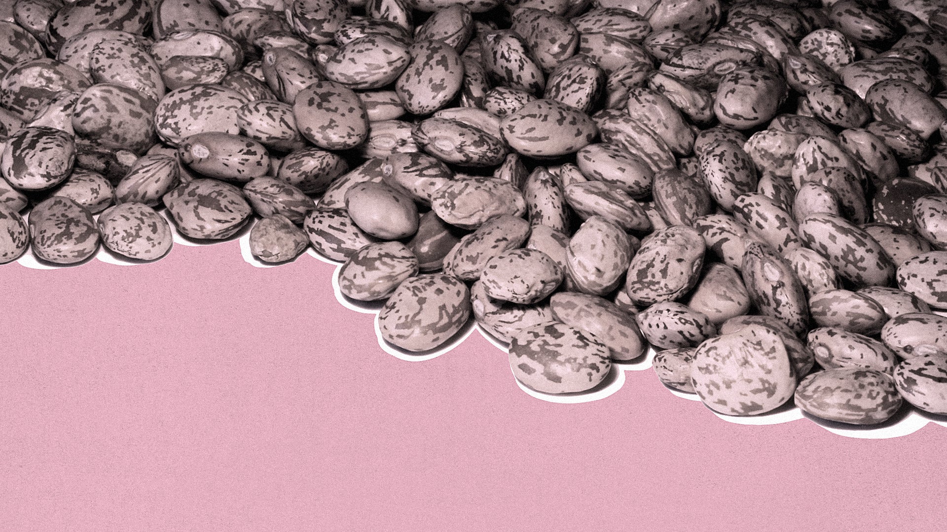 No GMOs Needed: Scientists Breed 30 Superbeans That Can Handle A Hotter ...
