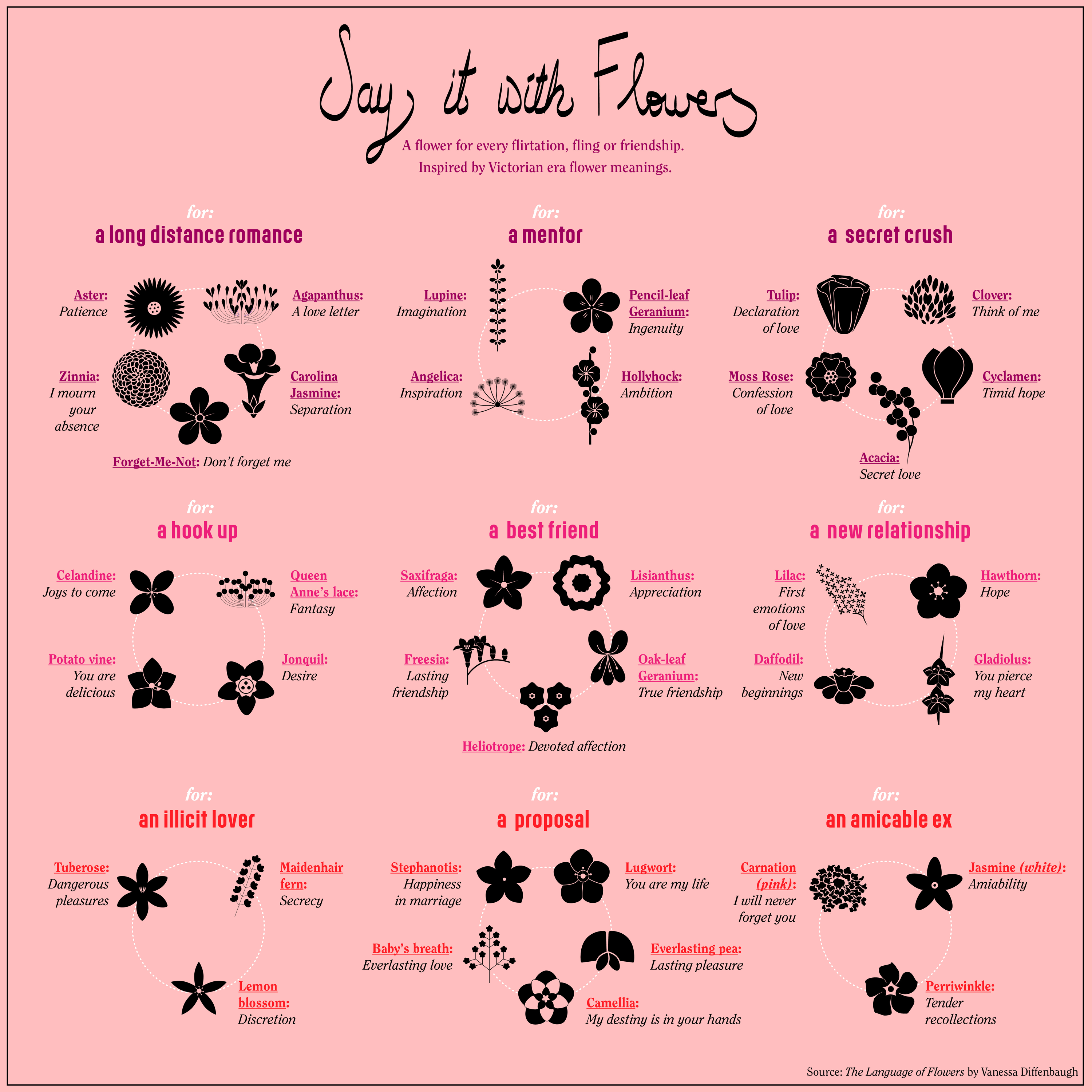 Infographic: What Do Those Flowers You Bought Really Mean? - Fast Company
