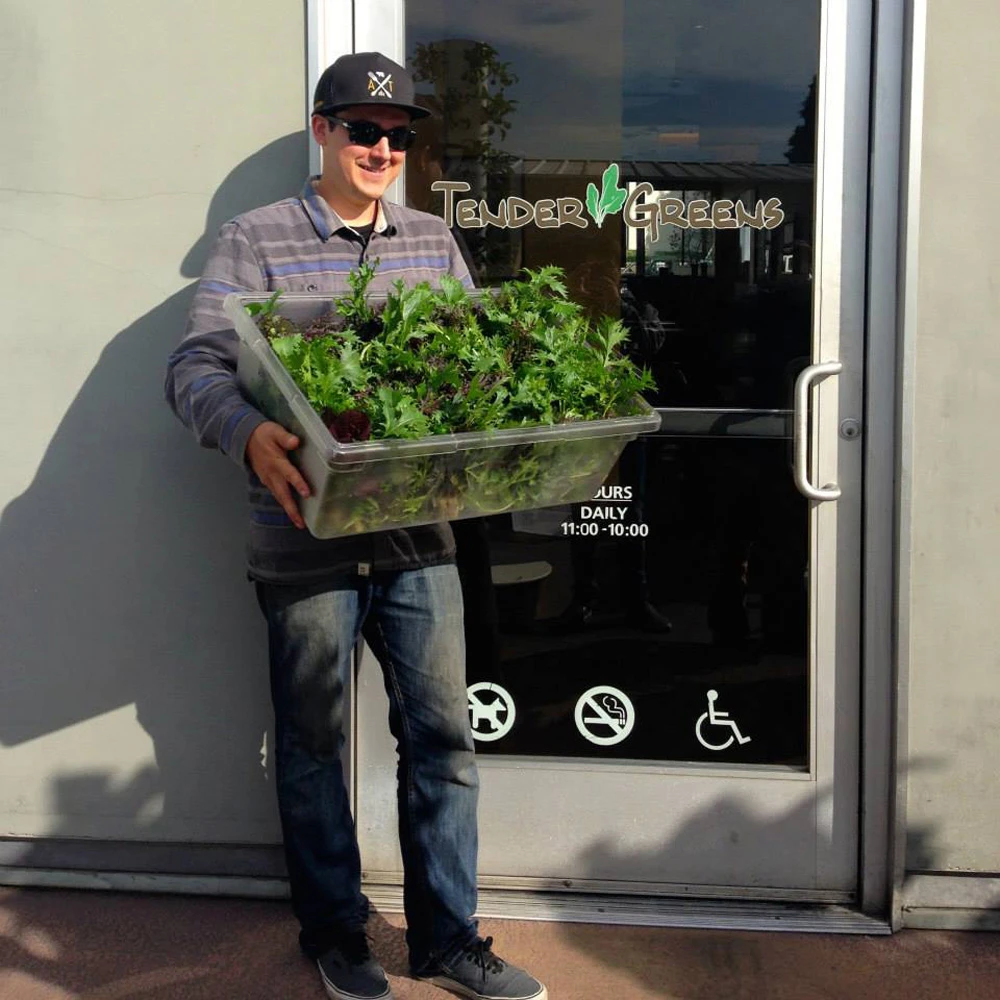 This Hollywood Restaurant Grows Your Food Next To Your Table - Fast Company