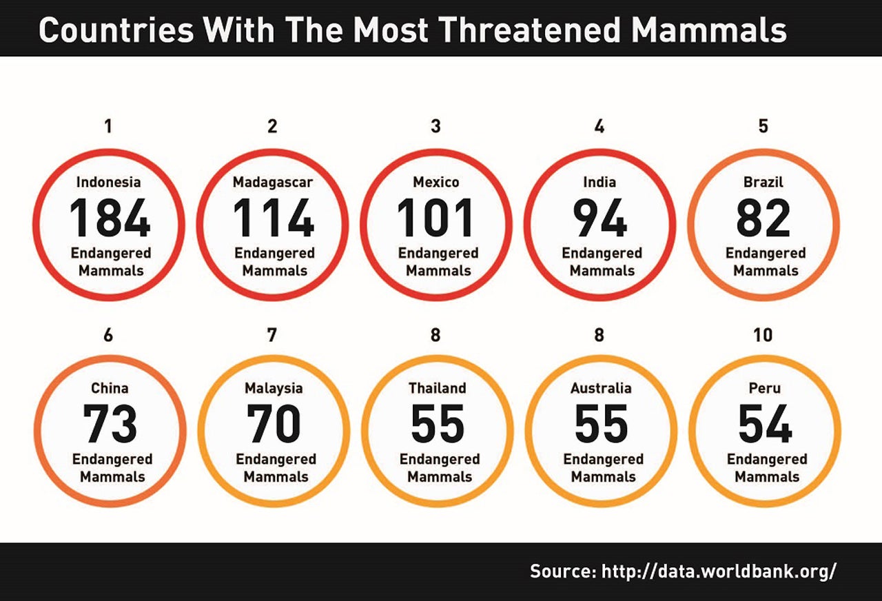 The Countries With The Most Endangered Mammals - Fast Company